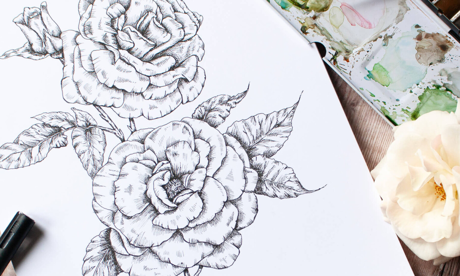Fine-line floral illustrations and surface pattern design